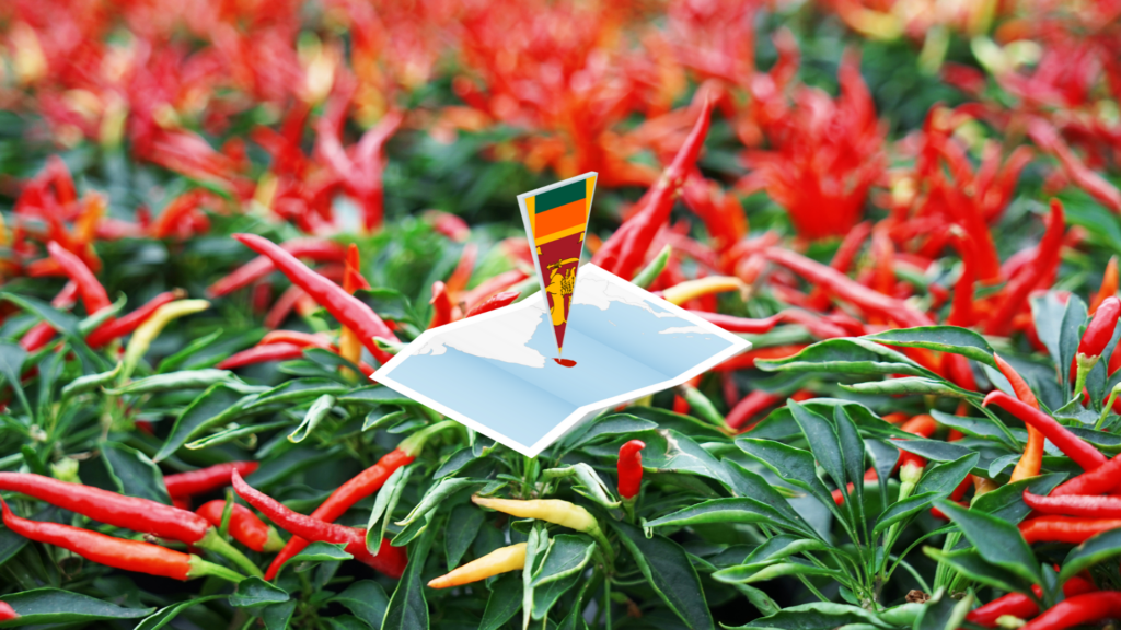 Hot Chili Pepper Cultivation as a Climate Smart Approach in the Dry ...