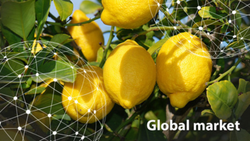 The LEMONS Global Market Overview - Agro Academy
