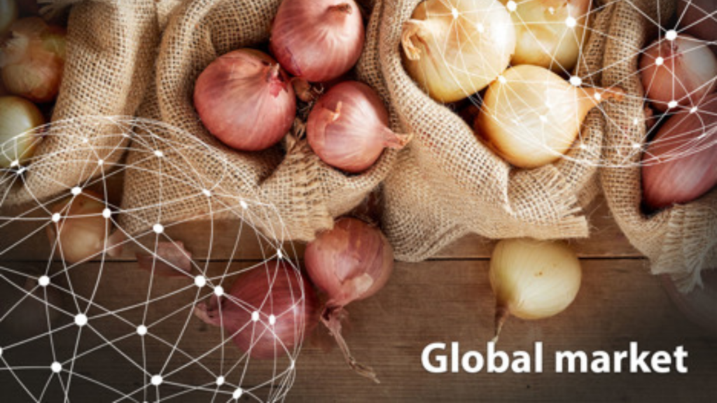 The ONIONS Global Market Overview - Agro Academy