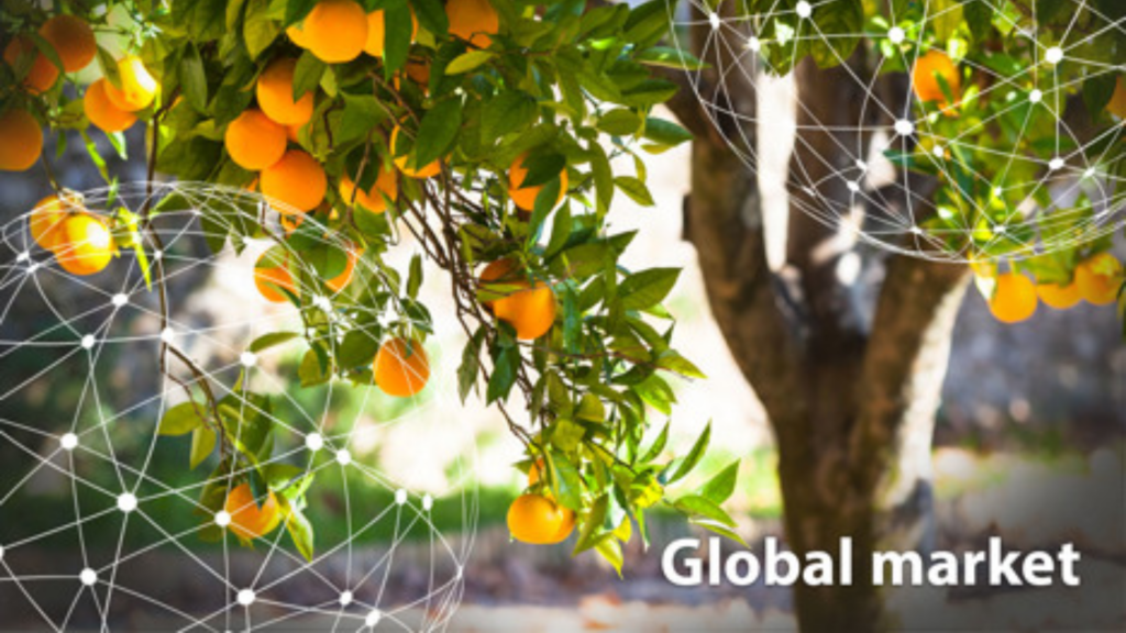 The ORANGES Global Market Overview - Agro Academy