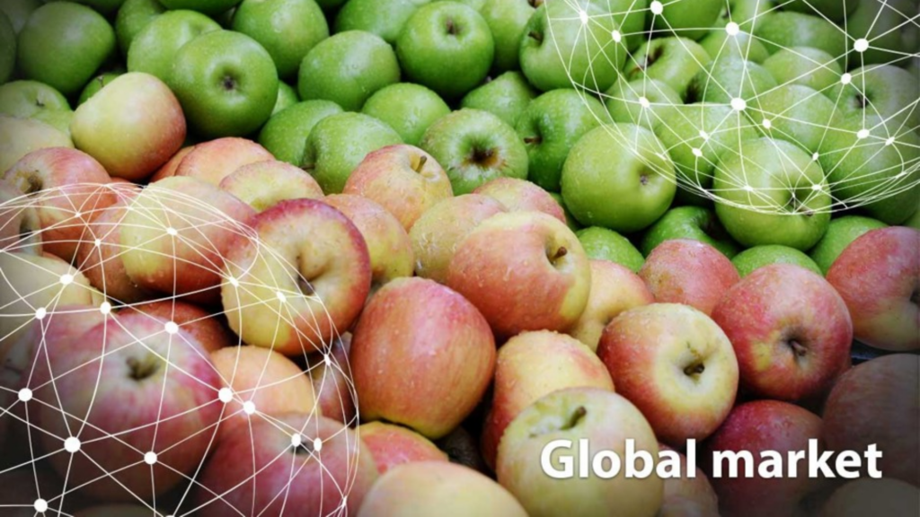 The global APPLES market overview - Agro Academy