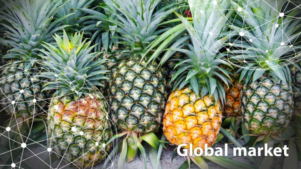 The global PINEAPPLES market overview - Agro Academy